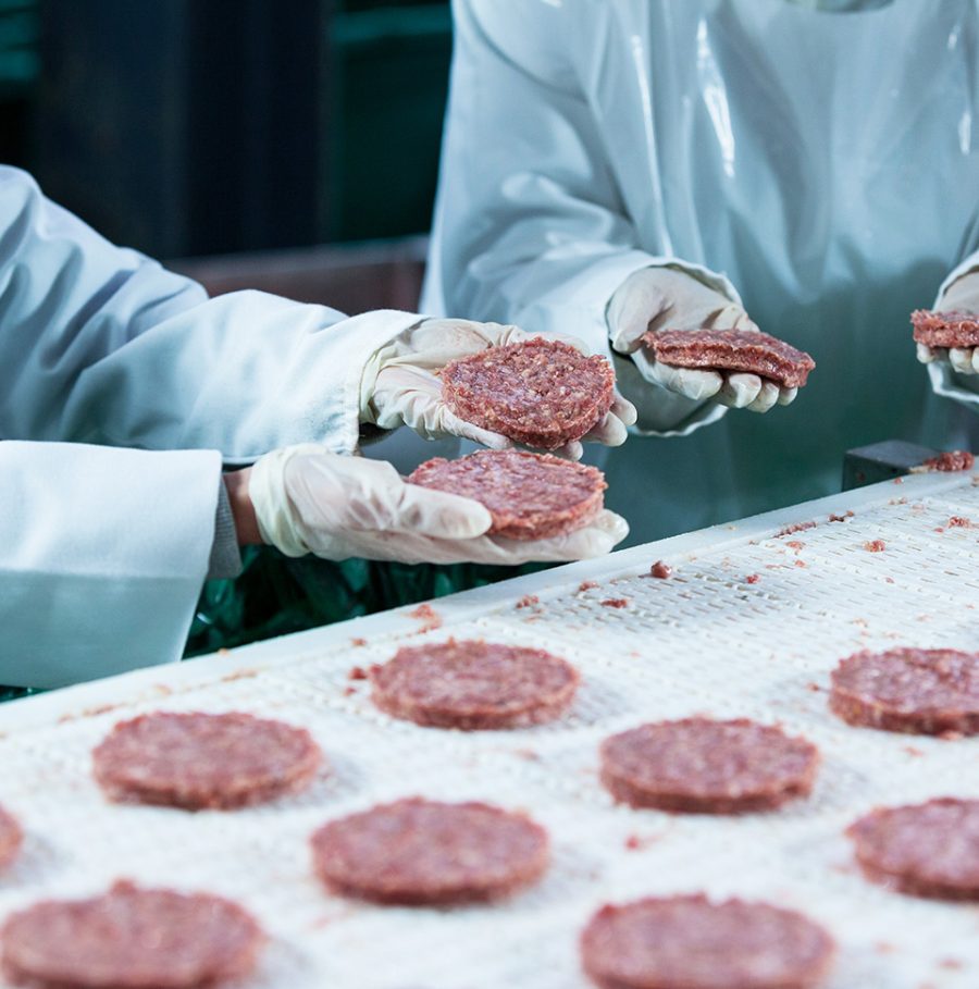 Cell Agritech – Revolutionizing The Future of Cellular Agriculture ...